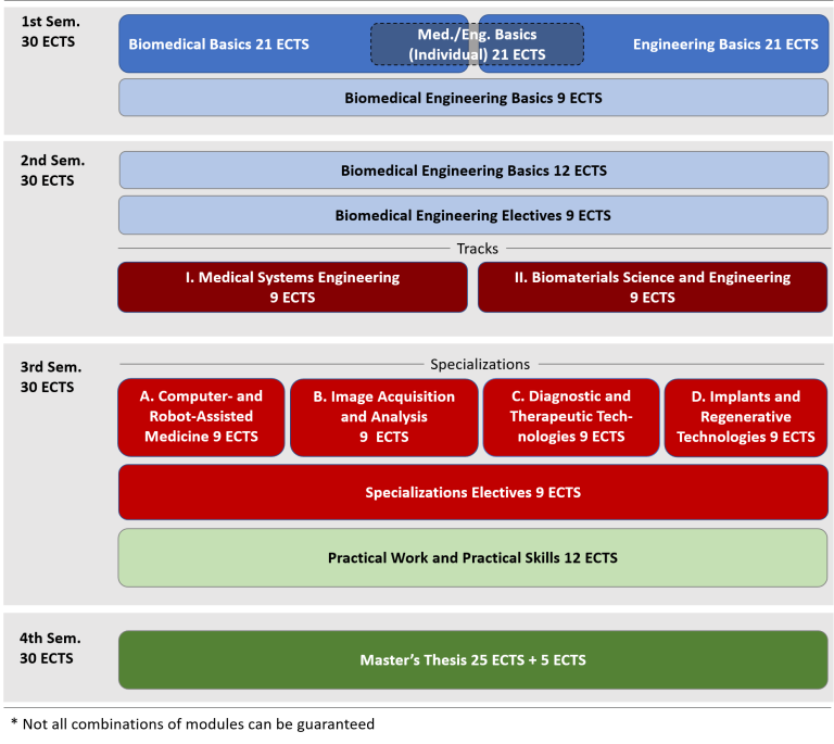 Details - Master in Biomedical Engineering